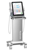 China Peninsula Factory Non Surgical Therapy Vaginal Rejuvenation Radio Frequency For Clinical for sale