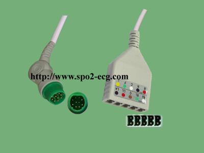 China SIEMENS ECG Lead Wires 12 Foot 10 Pin , 5 Lead ECG Cable CE Approval for sale
