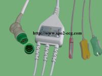 China SIEMENS ECG Lead Wires 12 Foot 10 Pin , 5 Lead ECG Cable CE Approval for sale