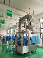 China Automatic Feeding System Powder Granule Liquid Packaging Machine for 10g-500g Pouches for sale