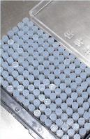 China Double Chambers Vacuum Sealing Machine for Sealing Food Rice Peanut Meat Powder Flour for sale