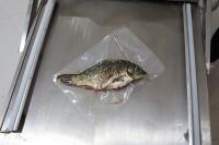 China 304 Stainless Steel Double Large Chamber Vacuum Sealing Machine for Meat Beef Seafood for sale