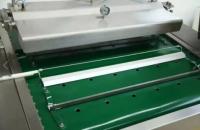China Electric Driven 1000 Double Strip Auto Bean Products And Wild Vegetables Continuous Vacuum Packing Machine for sale