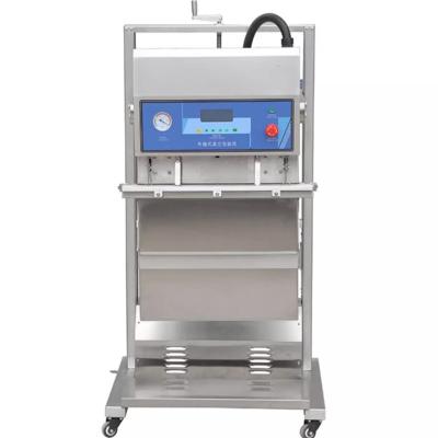 China Food Packaging Bags External Vacuum Sealer with Adjustable Angle and Two Nozzle Type for sale