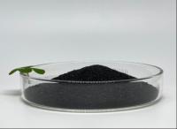 China Mineral Potassium Humate 60% Humic Acid Fertilizer for Crops Soil Conditioner for sale