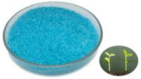 China 99% NPK Water Soluble Fertilizers 19 19 19 Chelated Trace Elements For Fruit for sale