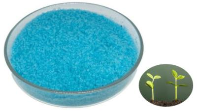 China 99% NPK Water Soluble Fertilizers 19 19 19 Chelated Trace Elements For Fruit for sale