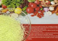 China NPK 30-10-10 Water Soluble Fertilizer High Nitrogen Crystal Powder for Plants Vegetables for sale
