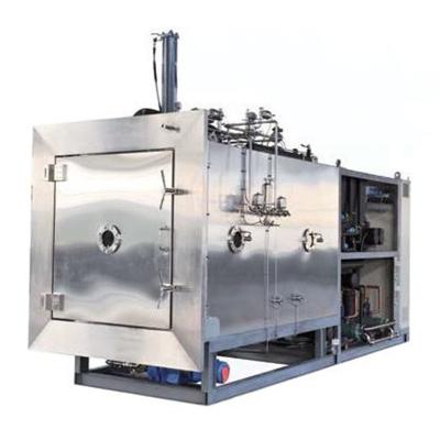 China Vacuum Freeze Lyophilizer Machine Medicine Processing Automatic Electric for sale