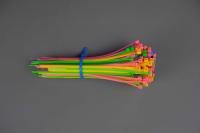 China Self Locking Cable Ties Plastic Cable Tie  3*60-200 Mm Custom Made for sale