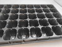 China Series 9  Nursery Seed Tray 50cell tray for sale