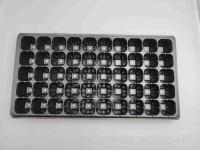 China Series 10  Nursery Seed Tray 72cell tray for sale