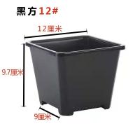 China Series 11  Plstic flower pots square black for sale