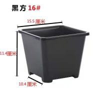 China Series 11  Plstic flower pots square black for sale