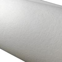 China Industrial Needle Felt Filter Fabric Membrane Cloth Cartridge Media for sale