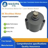 China BL4645 Brushless DC Motor 20V 5000rpm Permanent Magnet Long Lifespan for Robotic Lawn Mower for sale