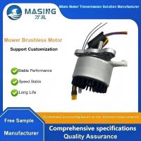 China High Power High Torque DC24v 200w 3800rpm 6000rpm Mower Brushless Motor for Mowing Robot for sale