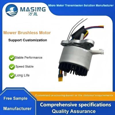 China High Power High Torque DC24v 200w 3800rpm 6000rpm Mower Brushless Motor for Mowing Robot for sale