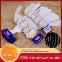 China Direct Supply Manufacture Specially Designed Mesh Net Bags for Supermarket Food Packing for sale