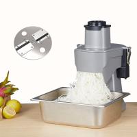 China 8 KG Multifunctional Electric Vegetable Cutter One Machine Endless Possibilities for sale