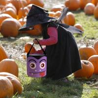 China Natural Cotton Fabric Halloween Bucket Basket for Trick or Treat Party Decorations for sale