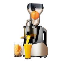 China Portable Multifunctional Fried Juice Original Machine with Automatic Electric Juicer for sale