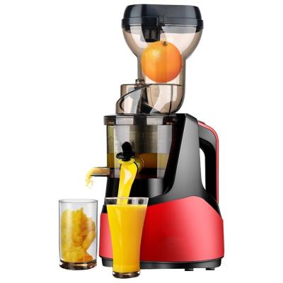 China Electric Citrus Juicer Easy Operation for Professional Juice Extraction 1000ml Capacity for sale