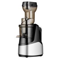 China 220V Low Speed FruitJuice Extractor Vegetable Juicer for Industrial Application 150W for sale