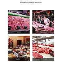 China Commercial Industrial Meat Plant Electric Butcher Frozen Meat Cutting Bone Saw Machine for sale