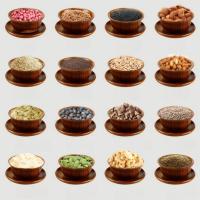 China 10 KG Capacity Peanut Oil Press Machine with Customizable Voltage and 13KG Gross Weight for sale