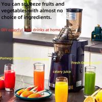 China Multifunctional Fruit Juicer with Pure Juice Rate of 96% Electric Juicer Voltage 220V for sale