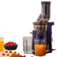 China Household Small Electric Juicer with 96% Pure Juice Rate Fully Automatic and 220V Voltage for sale