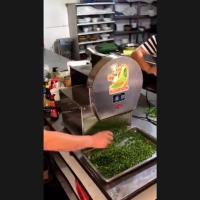 China Powerful 1300W Electric Vegetable Dicer Industrial Stainless Steel Shredding Machine for sale
