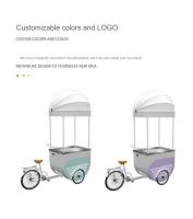 China After-sales service Online support Outdoor Commercial Removable Gelato Cart with Bike for sale
