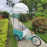 China Other Beautiful Gelato Cart with Bike Voltage 220V/110V Customizable for sale