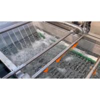 China Vegetable Washing Machine Fully Automatic Bubble Washer for Celery Lettuce Apple Lemon for sale