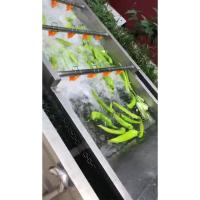 China Vegetable Washing Machine Fully Automatic Bubble Washer for Celery Lettuce Apple Lemon for sale