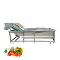 China Fully Automatic Industrial Fruit Vegetable Bubble Washing Machine for Processing Plant for sale