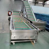 China Fully Automatic Industrial Fruit Vegetable Bubble Washing Machine for Processing Plant for sale