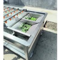 China Electric Power Industrial Bubble Washing Machine for Customizable Fruit and Vegetable for sale