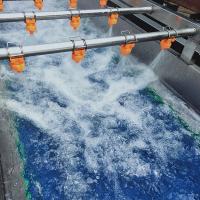 China 5.5kw Fruit and Vegetable Processing Washing Line for Industrial Food Production for sale
