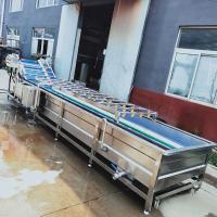 China Bubble Vegetable and Fruit Washing Machine for Apple Lemon Carrot Cassava Tomato Shrimp for sale