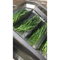 China Industrial Vegetable Fruit Processing Machine Used for Food Processing Plant Washing Line for sale