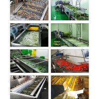 China Industrial Vegetable Fruit Processing Machine Used for Food Processing Plant Washing Line for sale
