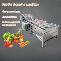 China 200 KG Capacity Vegetable Fruit Processing Machine for Fast and Effective Cleaning for sale