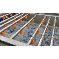 China 200 KG Capacity Vegetable Fruit Processing Machine for Fast and Effective Cleaning for sale