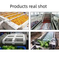 China 200 KG Capacity Vegetable Fruit Processing Machine for Fast and Effective Cleaning for sale