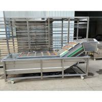 China Electric Power Automatic Fruit Vegetable Bubble Cleaning Machine 200 KG for Commercial for sale