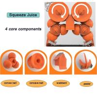 China Stainless Steel Lemon Citrus Electric Fruit Orange Juicer Extractor for Quick Juicing for sale