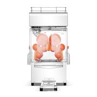 China Commercial Grade Portable Electric Juicer Machine for Fresh Fruit Juice 50kg Capacity for sale
